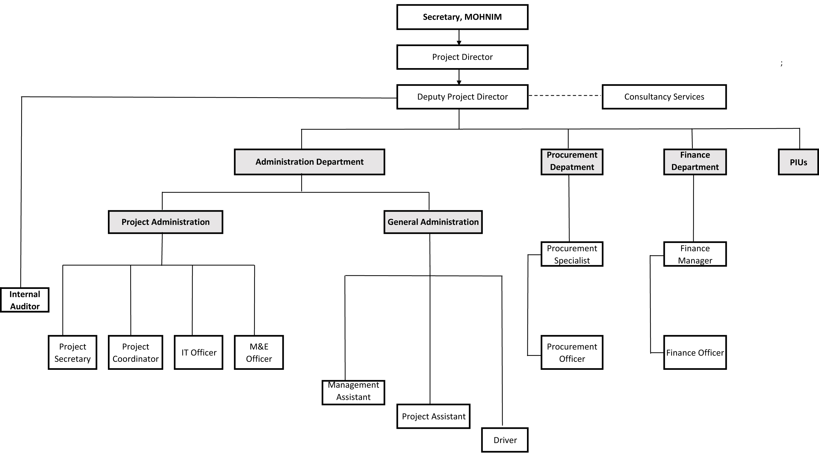 Organization Structure
